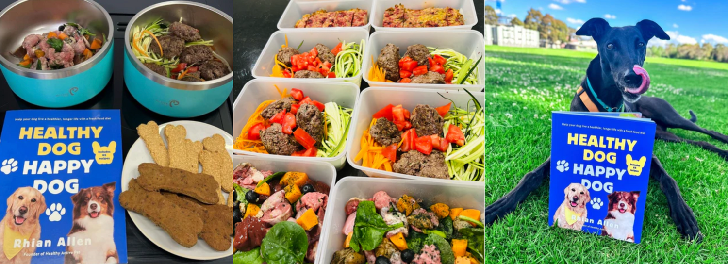 65 raw dog food recipes – Healthy Active Pet