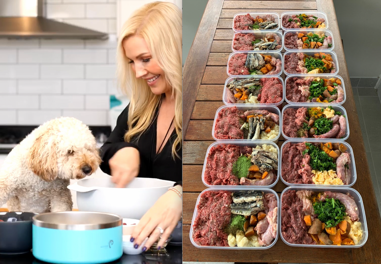 The revolution in pet health, dog food and nutrition is here - it's ti ...