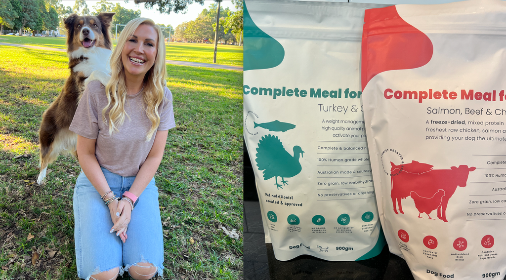 The benefits of salmon in dog food – Healthy Active Pet