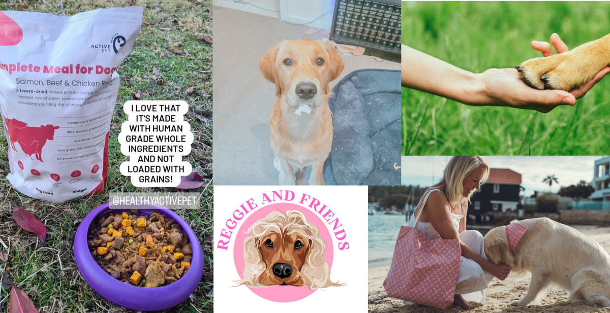 The best products for pets in Australia – Healthy Active Pet