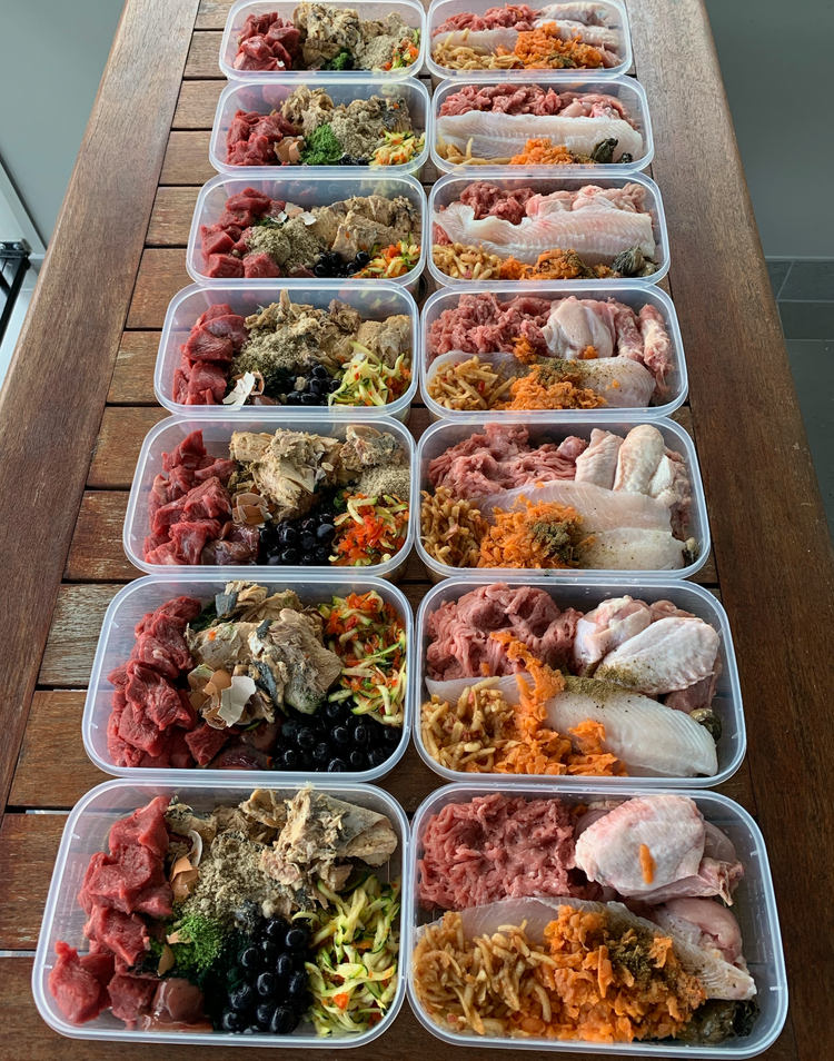 Raw Dog Food | Homemade Dog Food – Healthy Active Pet