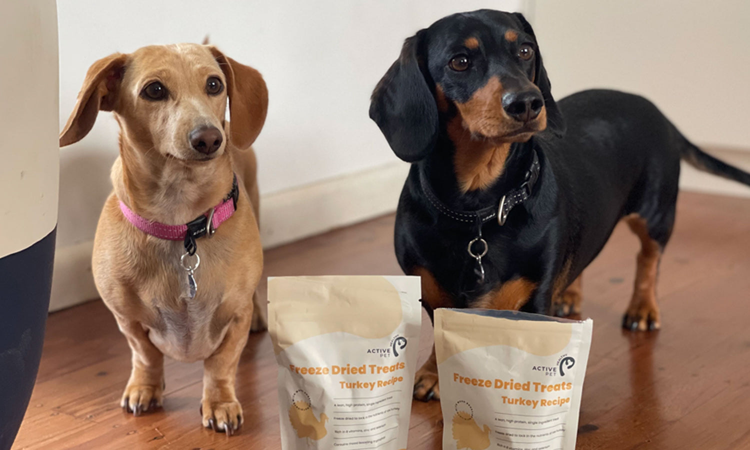 Best weight loss diet for dogs – Healthy Active Pet